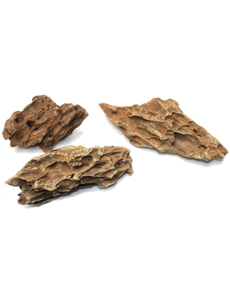 Ohko Stones - Taille L - 800 à 1200g Les Ohko stones sont de très b...