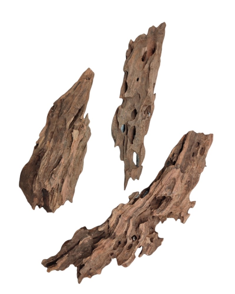 Racine Dragon Wood Taille M - 15-30cm Les racines Dragon Wood sont ...