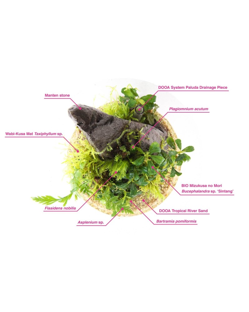 Ada System Paluda Drainage Piece Le Dooa Paluda Drainage piece est ...