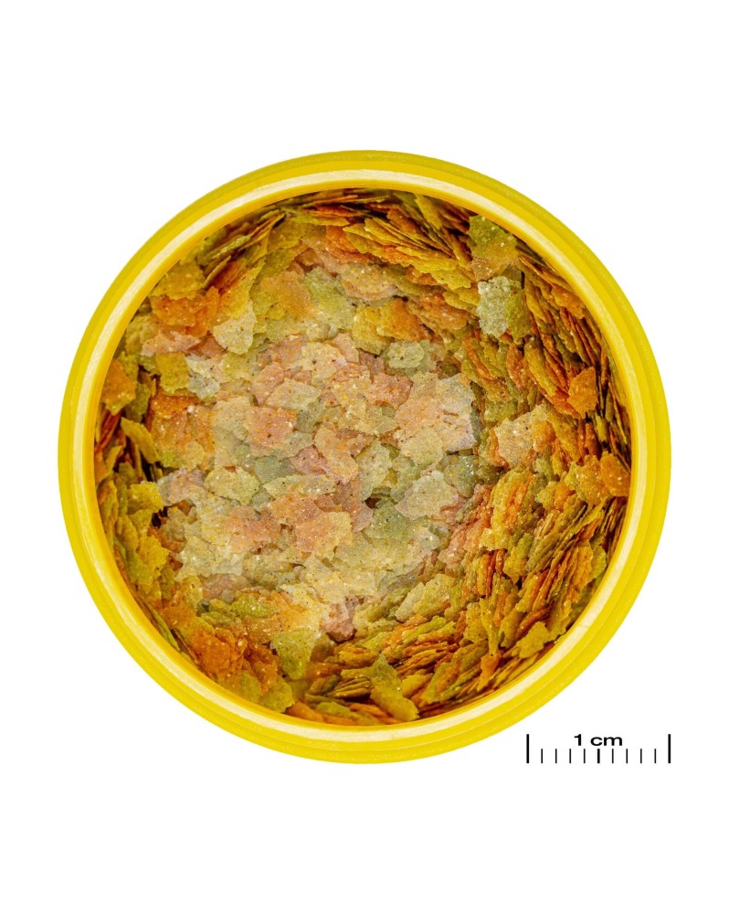 JBL - Pronovo Betta Flakes S - 20ml Alimentation de base en flocons...