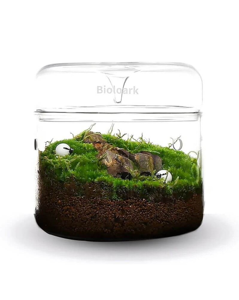 Bioloark Luji Glass MY-150 Contenant en verre Bioloark, couvercle i...