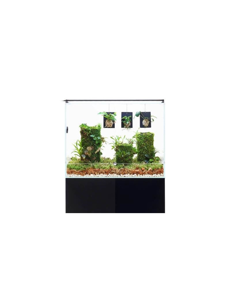 Dooa Neo Glass Paluda 60 DOOA Neo Glass Paluda 60. Paludarium conçu...
