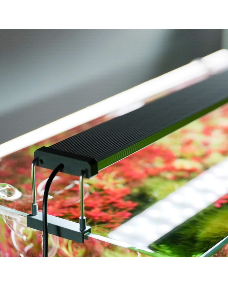 Chihiros B-line B30 LED WRGB pour aquarium
