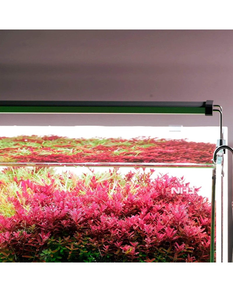 Chihiros B30 - 30-50cm Chihiros B-line B30. Spectre optimisé, led b...