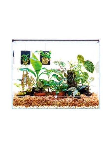 Dooa Neo Glass Paluda 30 DOOA Neo Glass Paluda 30. Paludarium conçu...