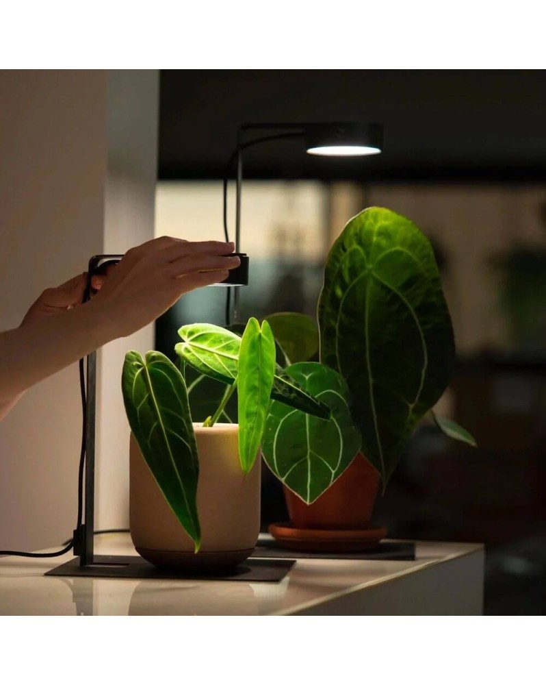 ONF Mist'O Stand Kit x2 (30/45cm) Jeu de 2 stands pour led ONF Mist...