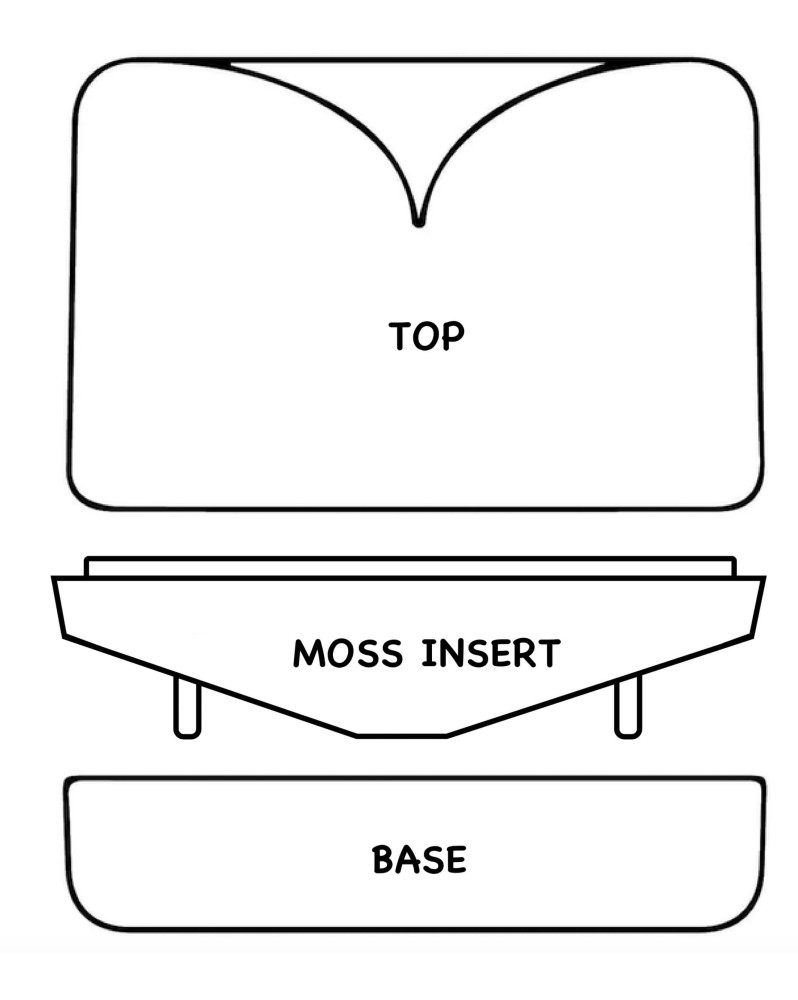 Eden Moss - Normal Version Mini mossarium pour les mousses et les p...