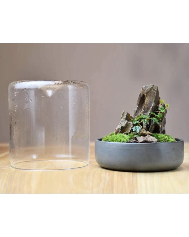 Eden Moss - Normal Version Mini mossarium pour les mousses et les p...