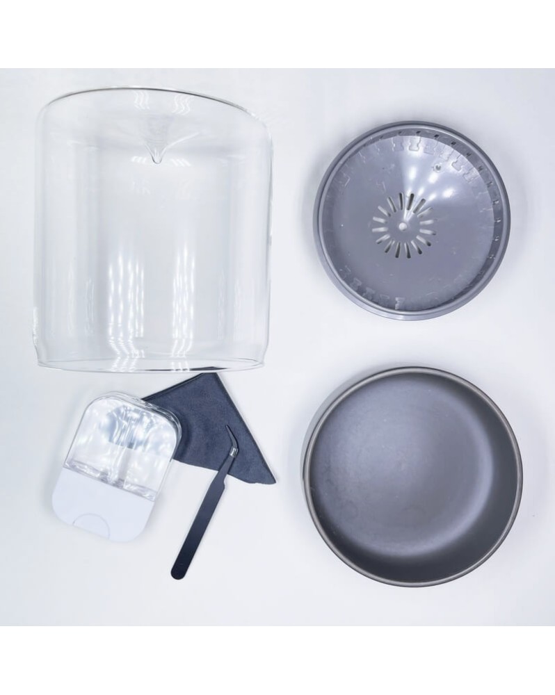 Eden Moss - Normal Version Mini mossarium pour les mousses et les p...