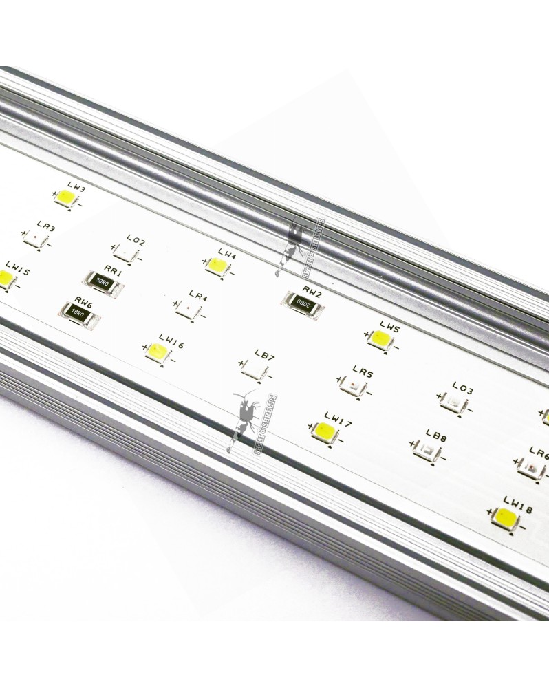 Twinstar B-Line - 60B Version 2 NOUVEAU Twinstar Light B-line II,