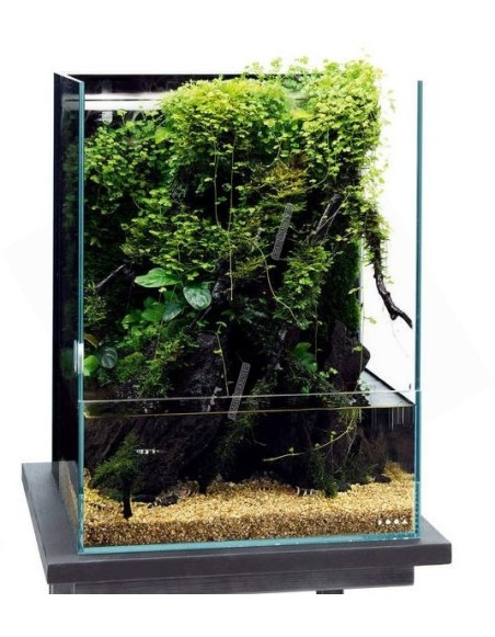 DOOA System Terra 30 (Sans Mistflow) Le System Terra 30 de DOOA est...