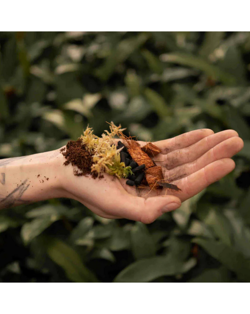 Sybotanica Terrarium Mix - 5L Un Substrat Terrarium adapté à toute ...