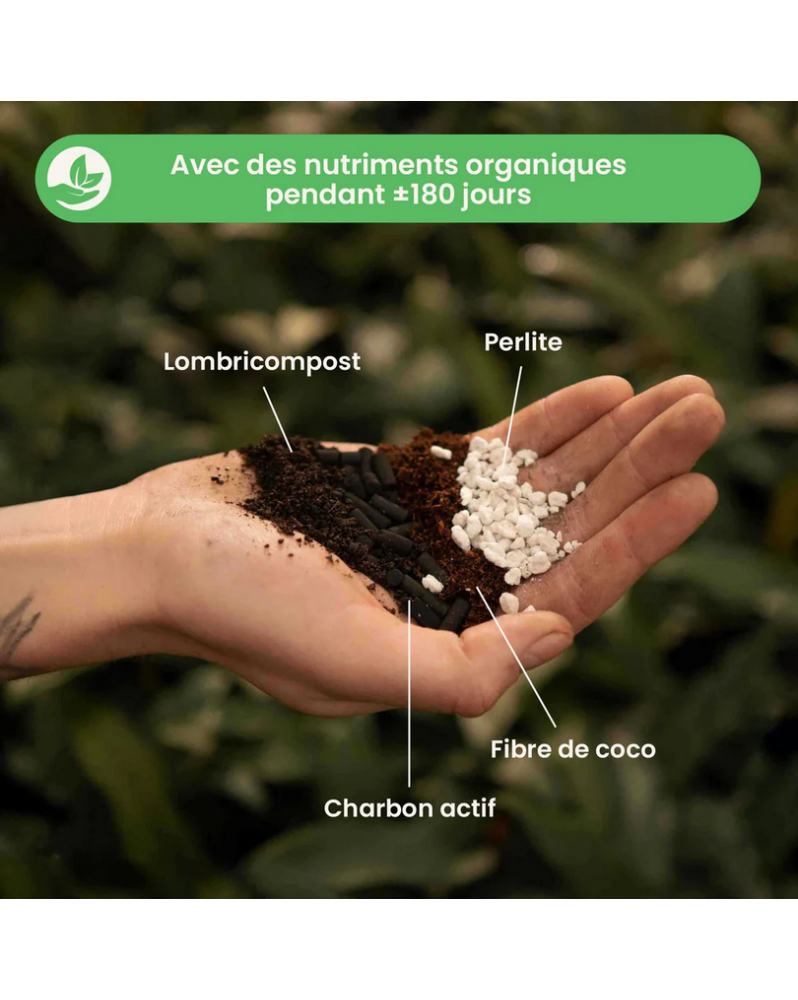 Sybotanica Universal Mix - 5L Universal mix est un substrat qui co...