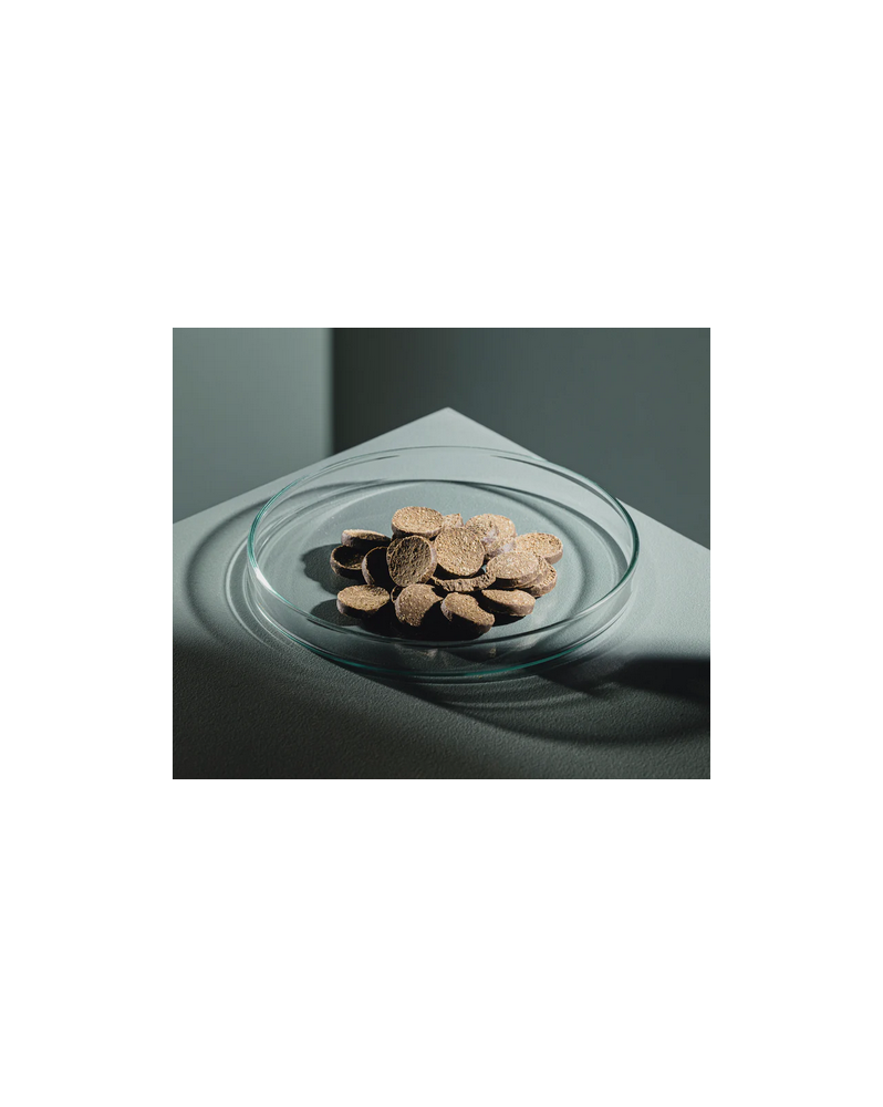 StreamBiz - Wels Nuggets Soft Carnivor 90g Avec leur teneur élevée ...