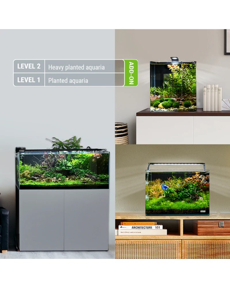Carbone pour plantes d aquarium