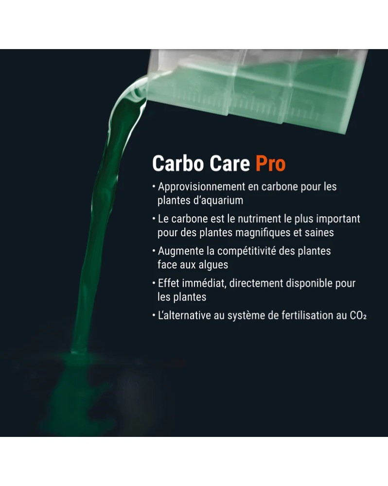 Carbone pour plantes d aquarium