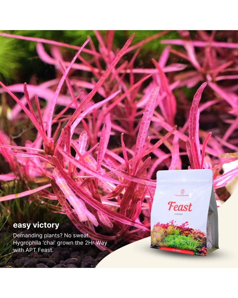 The 2HR Aquarist - APT Feast (Soil) - 5L 2Hr Aquarist APT Feast est...