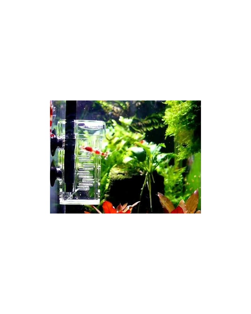 Dennerle Nano Flipper max. 40L Nouveau diffuseur de CO2 à la fois p...