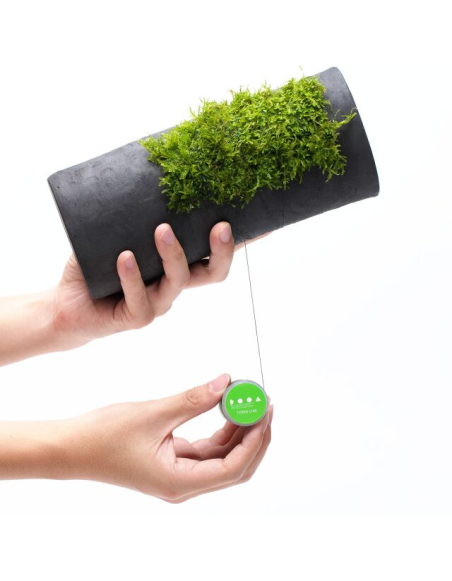 DOOA Terra Line fil pour fixation plantes