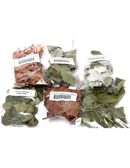 Mix 6 types de feuilles 60 unites